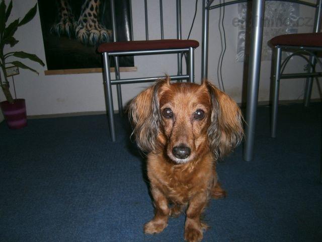 Fotogalerie KETTY na eMimino.cz