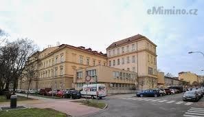 Porodnice FN Brno - Obilní trh a jeho význam - eMimino.cz