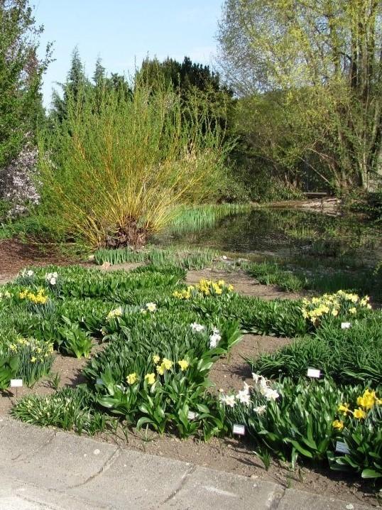 Botanická zahrada Praha - tip na výlet u místa "Praha" | eMimino.cz