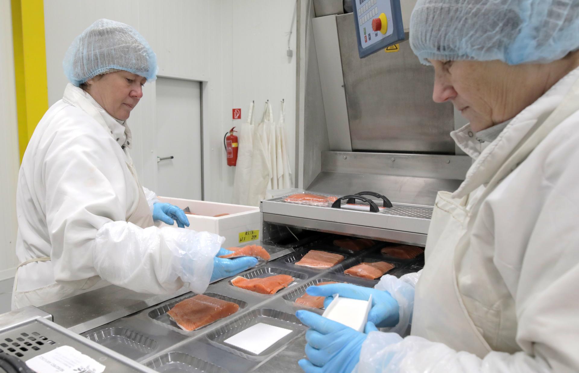 NOWACO: Značka, která nás naučila milovat ryby - eMimino.cz