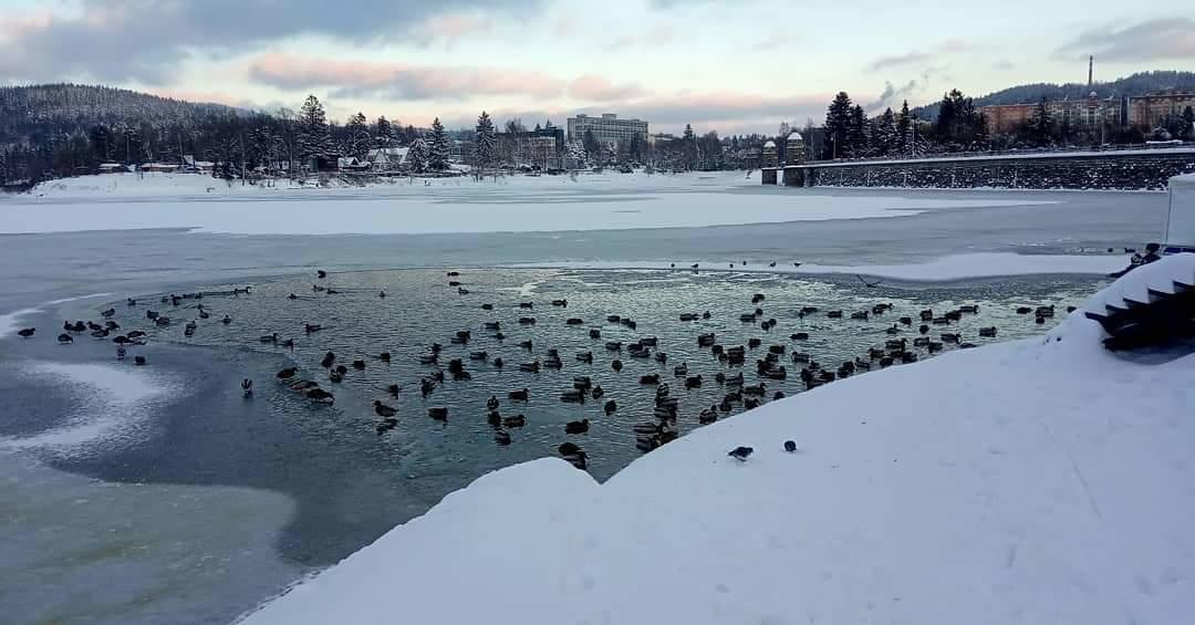 Jablonecká přehrada - tip na výlet u místa "Jablonec nad Nisou ...