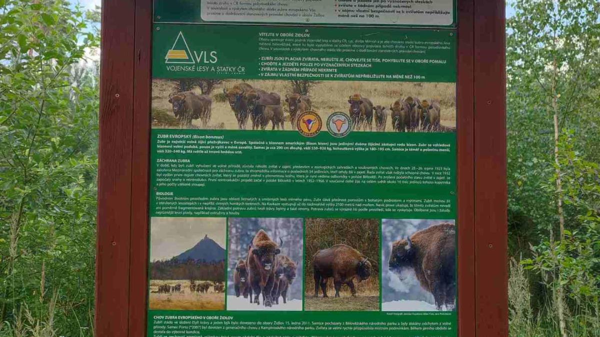 Obora Židlov - tip na výlet u místa "Ralsko" | eMimino.cz