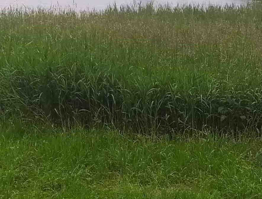 Slapy - tip na výlet u místa "Slapy" | eMimino.cz