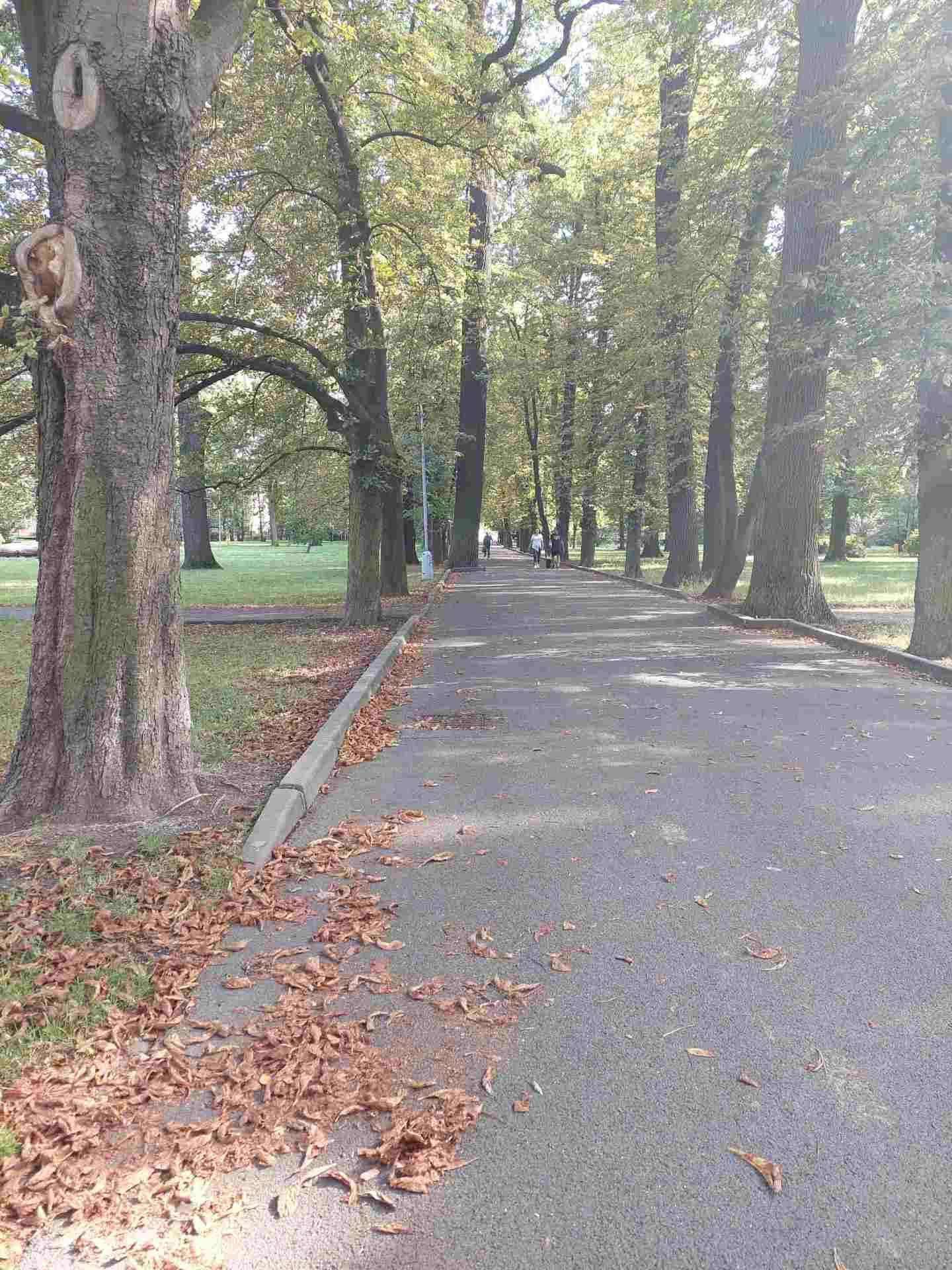 Park Petra Bezruče - tip na výlet u místa "Bohumín" | eMimino.cz