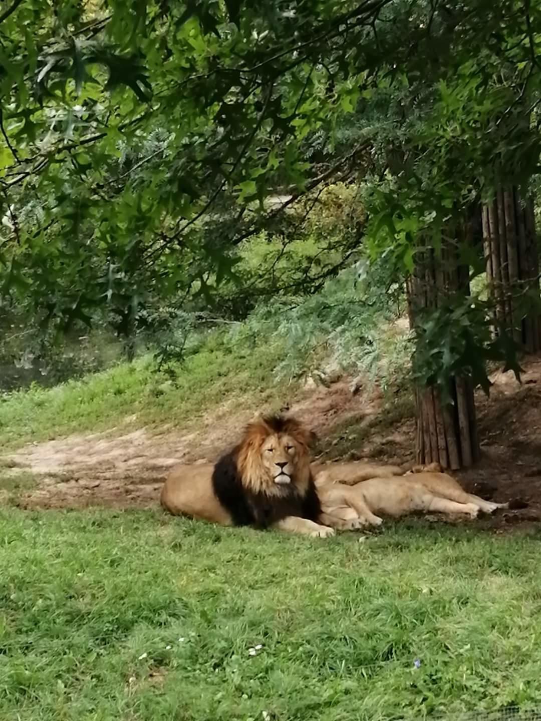 Zoo Plzeň - tip na výlet u místa "Plzeň" | eMimino.cz