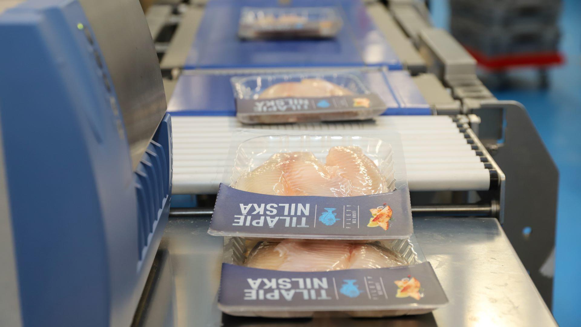 Nejlepší ryby na Vánoce? Rozhodně ty čerstvé z Kralup - eMimino.cz