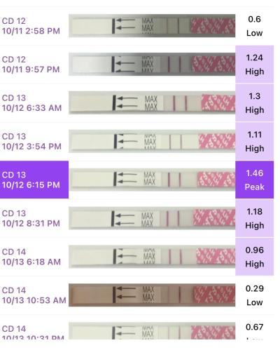 Jak vypadá plně pozitivní ovu test? - Diskuze - eMimino.cz