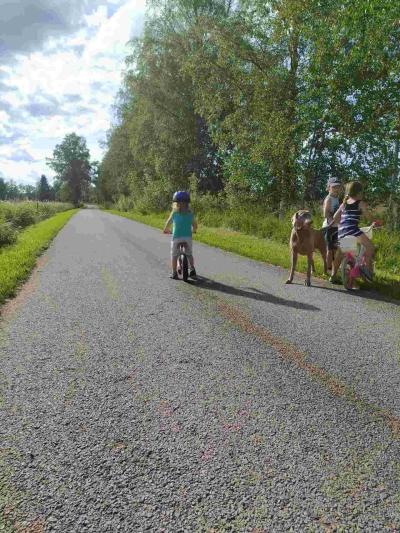 Písečná pláž Lipno - Hory / Pernek - tip na výlet u místa "Horní Planá ...