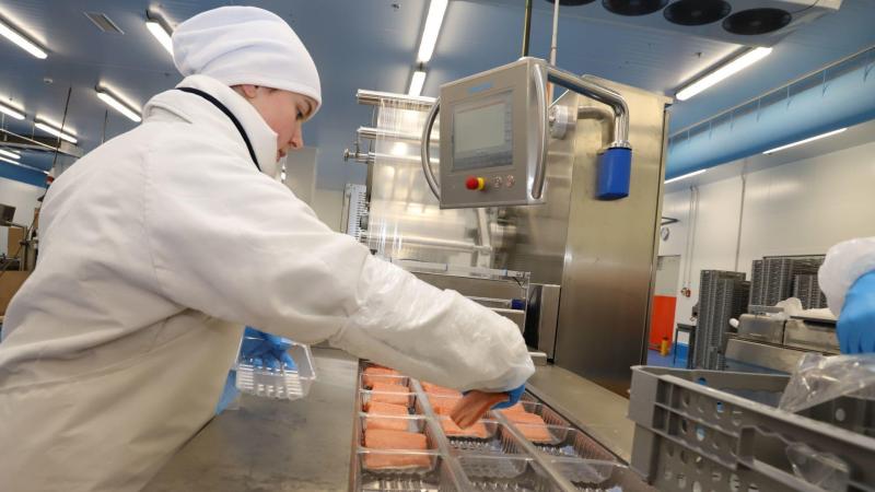 Nejlepší ryby na Vánoce? Rozhodně ty čerstvé z Kralup - eMimino.cz