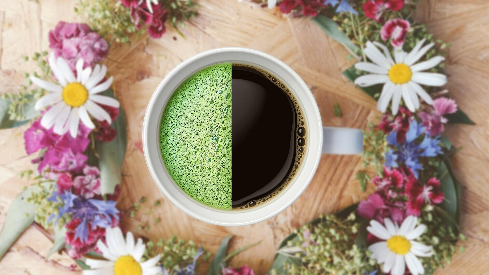 Lékárna.cz představuje originální Bio Matcha Tea z Japonska - eMimino.cz