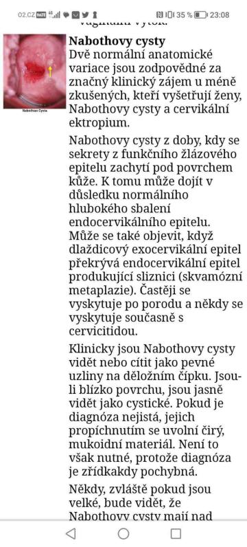 Děložní čípek - hrbolky - Diskuze - eMimino.cz