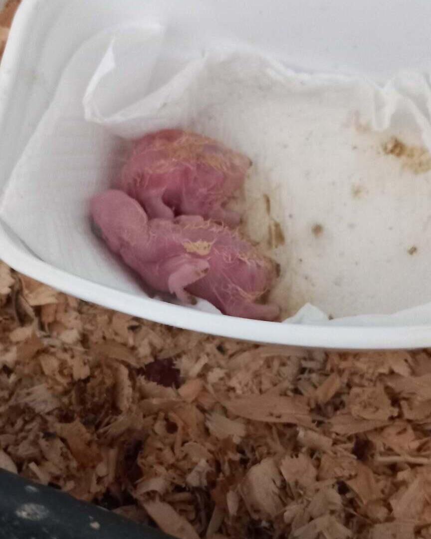 Doma je mi nejlépe - ale proč je to takový problém? (7) - Diskuze ...