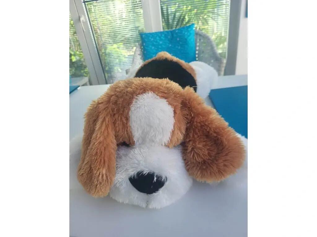 Starý plyšový pes (4) - Diskuze - eMimino.cz