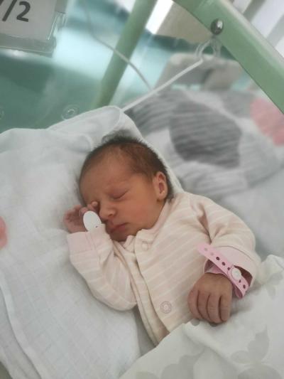 Porodnice Podolí - Recenze a hodnocení na eMimino.cz